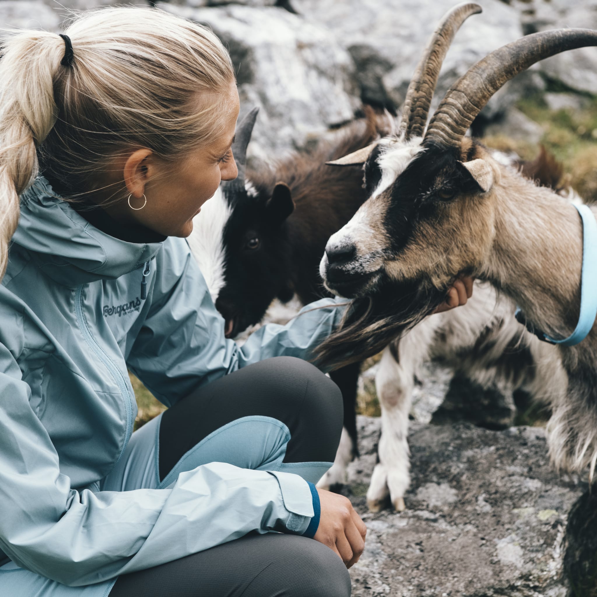 Se nyheter og klassikere fra Bergans | Les mer her